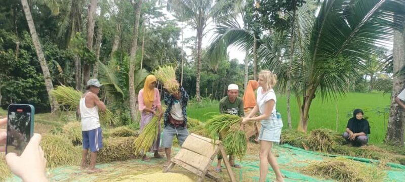 Tetebatu: Waterfalls, Spices, Rice Terrace, Monkey forest - FAQ