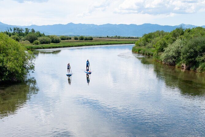 Teton River Paddleboard Adventure - 4.5 Miles - An Inviting Introduction to the Teton River Paddleboarding Experience
