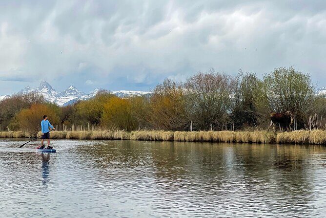 Teton River Paddleboard Adventure - 4.5 Miles - The Practicalities: Booking, Weather, and Group Size
