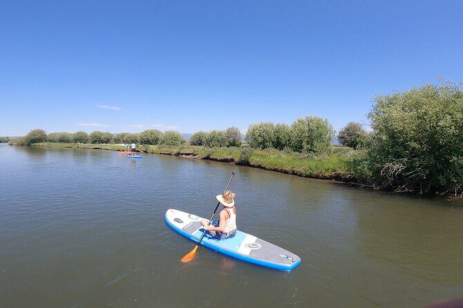 Teton River Paddleboard Adventure - 4.5 Miles - The Sum Up: The Ideal Choice for Scenic, Gentle Water Fun