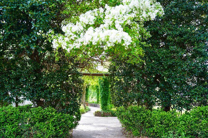 Texas Discovery Gardens General Admission - The Sum Up