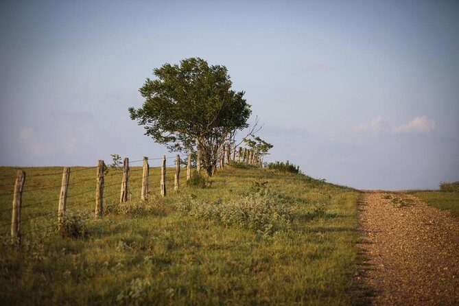 Texas Hill Country Olive Oil and Balsamic Vinegar Tasting - Introduction