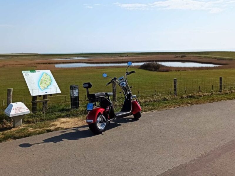 Texel: E-Scooter Rental - Breaking Down the Experience