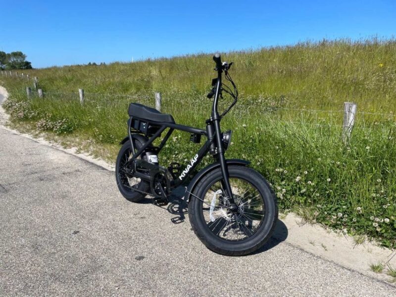 Texel: Electric Fatbike Rental with Map - The Bottom Line: Who Should Consider This Tour?
