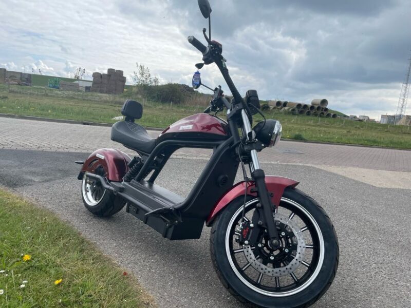 Texel: Explore Texel with a Café Cruiser E-scooter - Key Points
