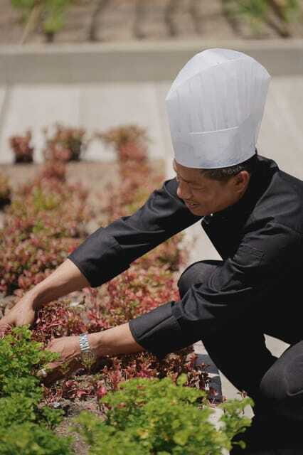 Thai Cooking Class - Kalanan Riverside Resort - The Sum Up