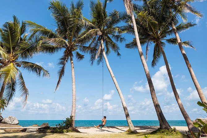 Thai Intro - Transition to the Phi Phi Islands