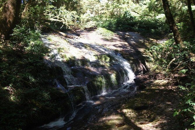 Thailands Highest Peak: Doi Inthanon National Park Experience - Final Thoughts: Is it Worth It?