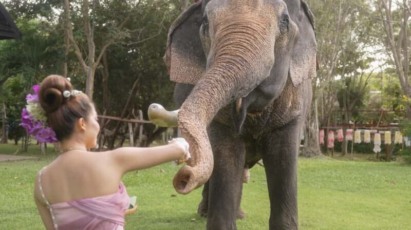 Thaithani Cultural Village & Elephant Pattaya - Key Points
