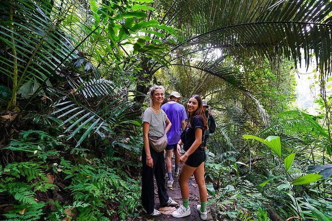 Tham Phay cave expedition & Jungle trekking 4 days 3 nights - Day 2: Trekking Into the Heart of Ba Be