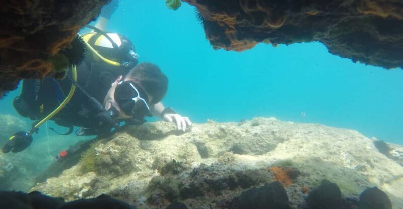 Thasos: Introductory Scuba Diving Expereince - Who Should Consider This Experience