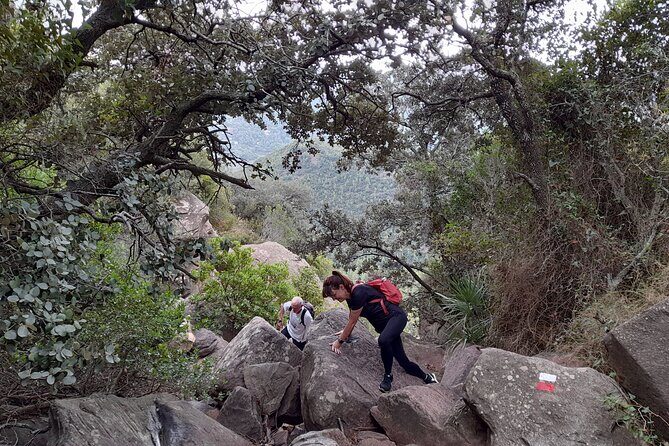The Adventurous Route to Mirador del Garbí - Final Thoughts