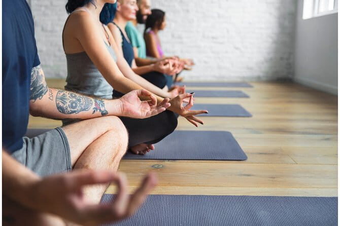 The Alchemist, Healing Meditation Yoga Retreat, Kerala , India - Introduction: An Authentic Journey into Kerala’s Wellness Scene