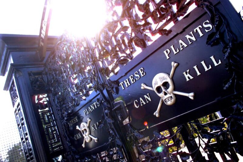The Alnwick Garden: Entry Ticket - Other Highlights