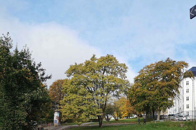 The Ancient Viking Stronghold of Aros: A Self-Guided Audio Tour in Aarhus - Who Will Love This Tour?
