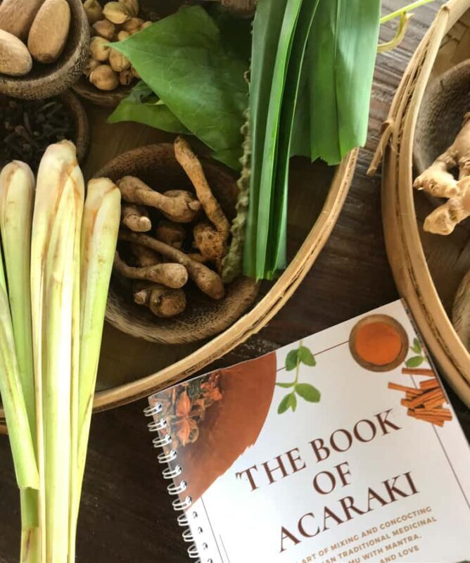 The Art of Jamu Experience Workshop - Key Points