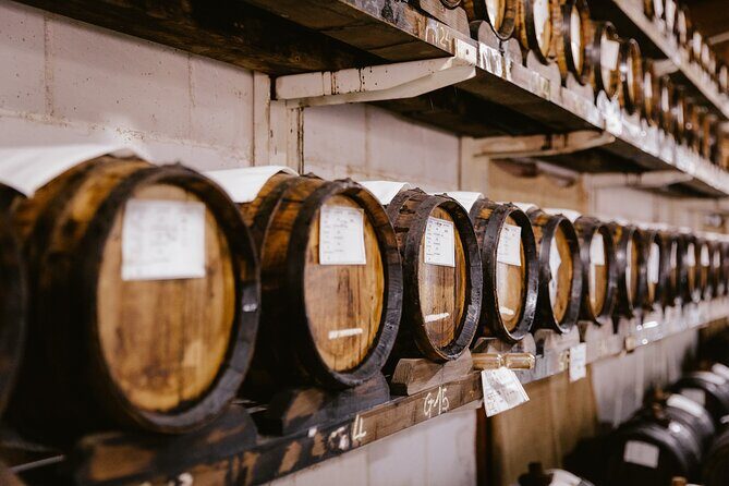 The art of Parmigiano Reggiano and real Balsamic vinegar - Exploring the Art of Parmigiano Reggiano and Balsamic Vinegar in Modena