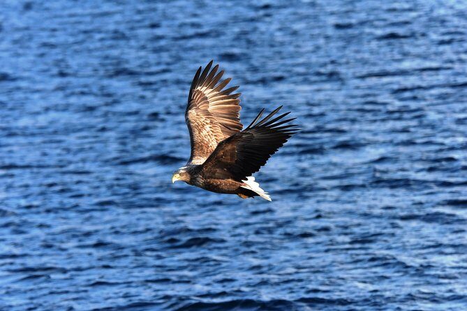 The Astonishing Islands of Tropical Langkawi - Final Thoughts: Who Is This Tour For?