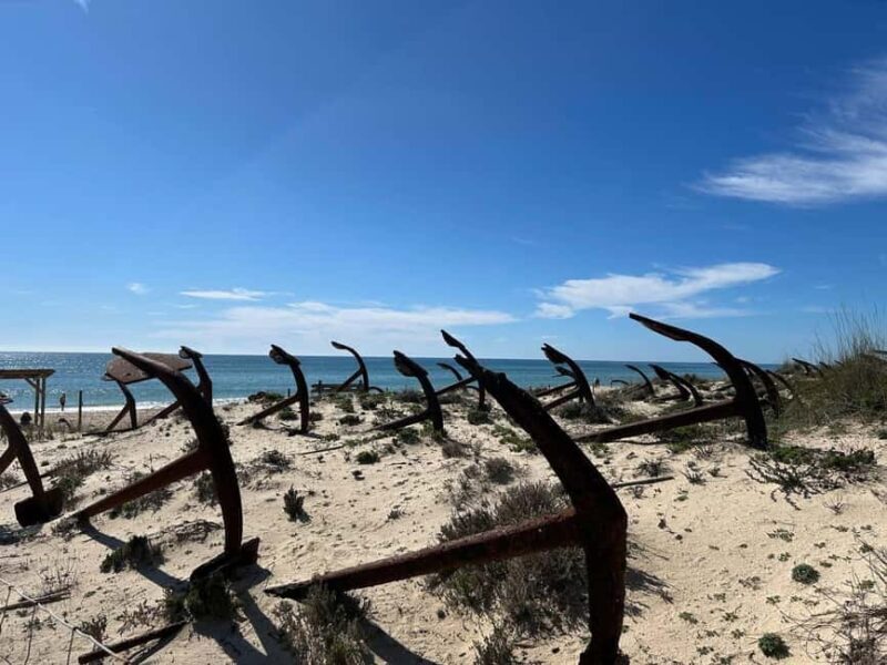 The authentic Algarve by bike: Between villages, beaches, and nature - Final Thoughts