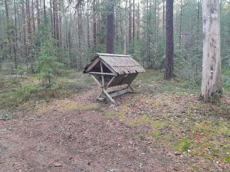 The Authentic Lahemaa daytour Carmen reisid - A Closer Look at Lahemaa – Estonia’s Green Treasure Trove