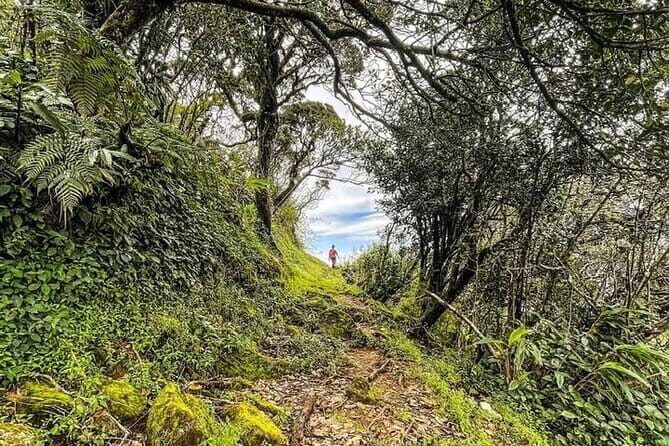 The backpackers trail to Elephant Spine Knuckles - The Itinerary: What to Expect