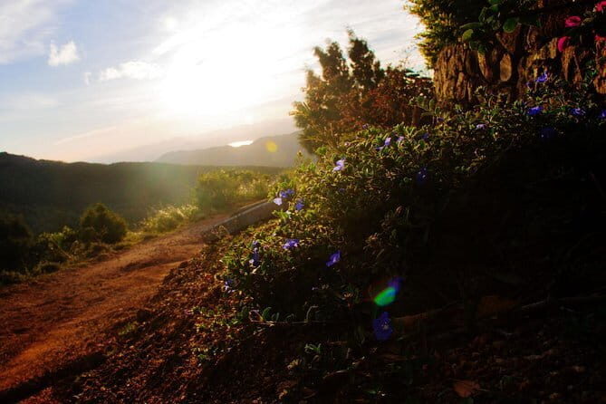 The backpackers trail to Elephant Spine Knuckles - Authentic Reviews and Real Experiences