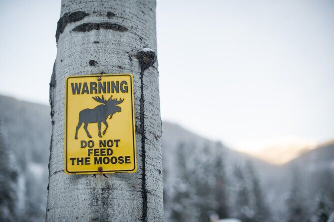 The BANFF NATURE Walk - 2hr Adventure - Frequently Asked Questions