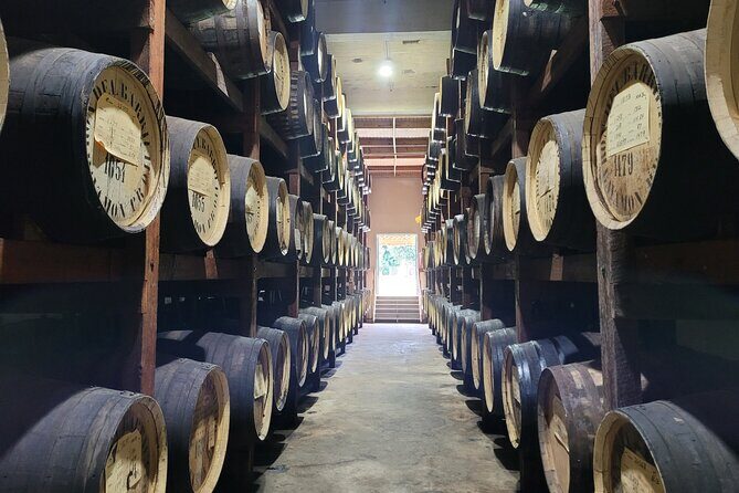 The Barrilito Rum Factory Experience Transportation Included - Key Points