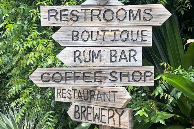 The Baths, Virgin Gorda, Cooper Island & Norman Island Snorkel - Final Thoughts