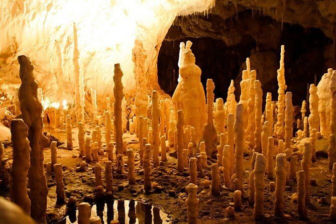 The Bear's Cave - One-Day Air conditioned car Tour from Oradea - FAQ