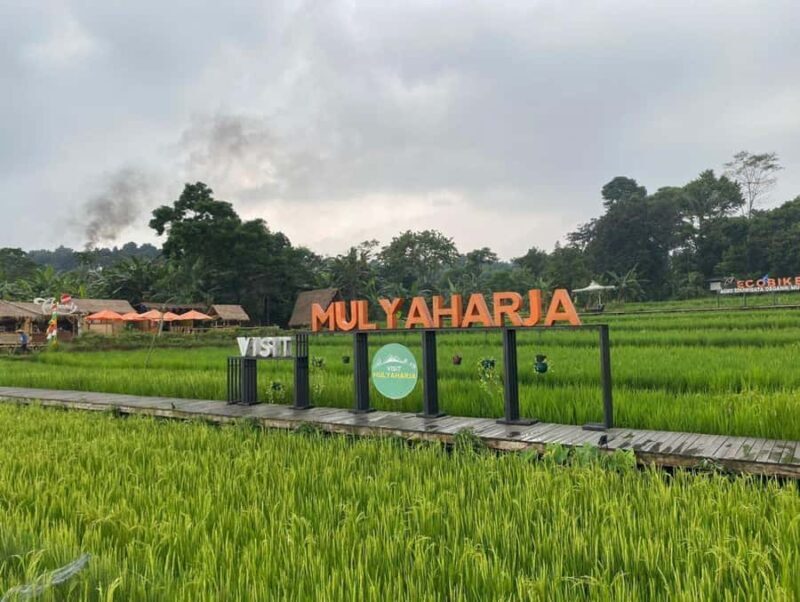 The Beautiful Garden, Rice Terrace and Waterfall In Bogor - Introduction: A Day in Bogor’s Natural and Cultural Heart
