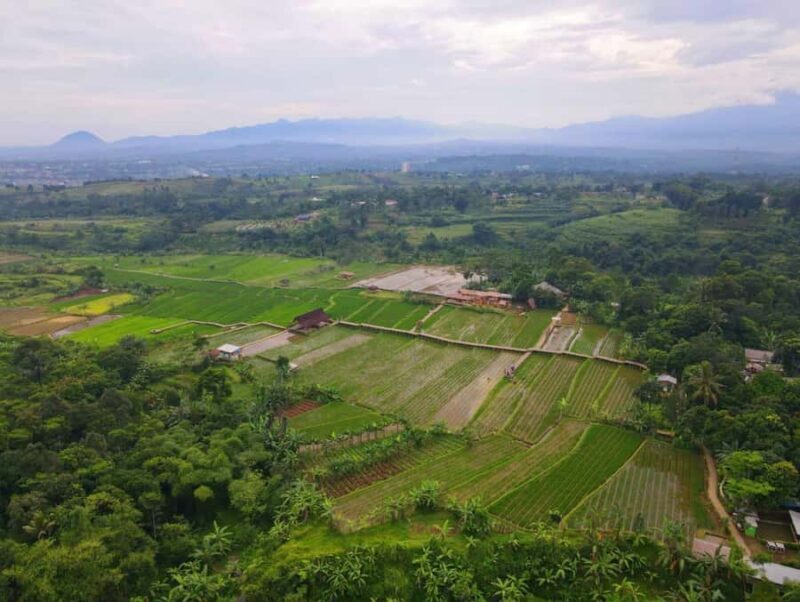 The Beautiful Garden, Rice Terrace and Waterfall In Bogor - Price and Value