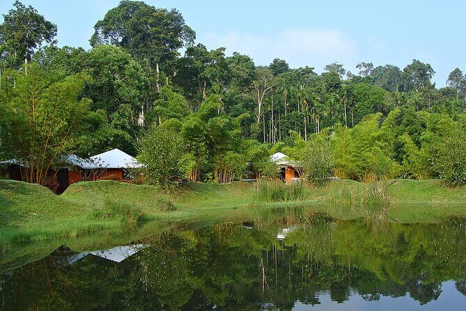 The Beauty And Culture Of Coorg - From Bangalore With Private Transfer - Authenticity & Real Traveler Insights