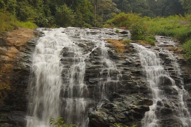 The Beauty And Culture Of Coorg - From Bangalore With Private Transfer - Final Thoughts: Who Is This Tour For?