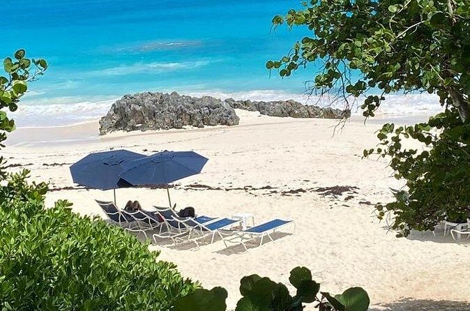 The Bermuda Elbow Beach Escape Day - Who Would Love This Tour?