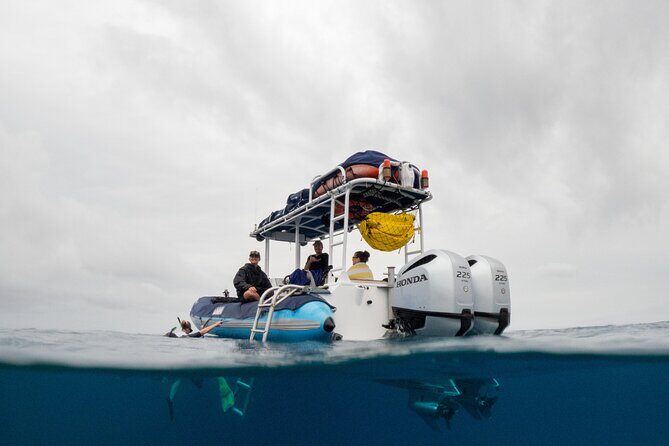 The Best 2 Hour Molokini Express Snorkeling - Discovering the Best 2-Hour Molokini Snorkeling Experience