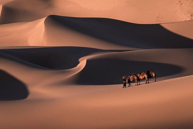 The Best 5 Days Tour in Central Mongolia (Plus) - The Sum Up: Who Is This Tour Best For?