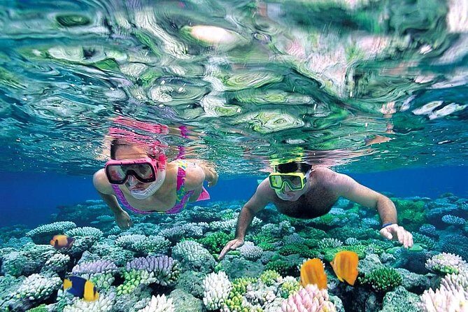 The Best Catamaran Tour to Isla Mujeres from Cancún - Who is This Tour For?