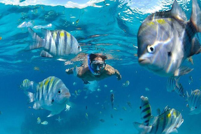 The Best Catamaran Tour to Isla Mujeres from Cancún - Final Thoughts