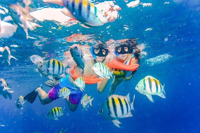 The Best Catamaran tour to Isla Mujeres with Open Bar and Lunch - Final Thoughts: Is This Tour Worth It?