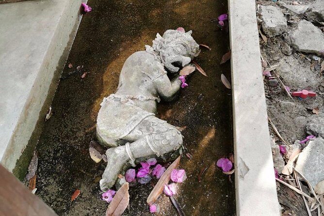 The Best City Tour View Points Wat Doi Suthep, Wat Chedi Luang and Wat Pha Lat - Practical Details You’ll Appreciate