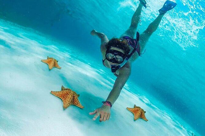 The Best Cozumel Snorkeling Tour Palancar, Colombia and El Cielo Reefs - An Authentic Cozumel Snorkeling Adventure