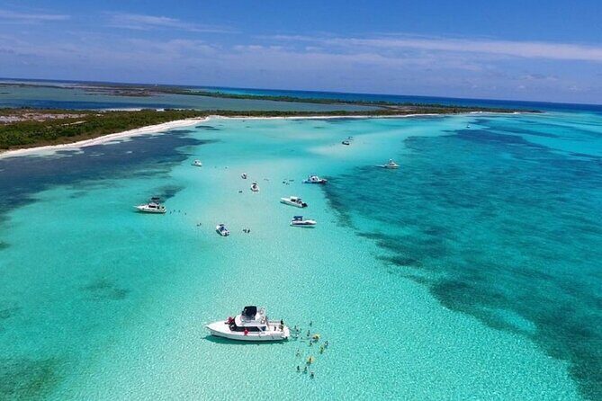 The Best Cozumel Snorkeling Tour Palancar, Colombia and El Cielo Reefs - The Group Experience and Review Highlights