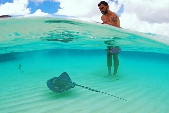 The Best Cozumel Snorkeling Tour Palancar, Colombia and El Cielo Reefs - The Value of This Tour
