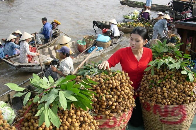 THE BEST DAY TRIP TO MEKONG DElTA ( BEN TRE ) - PRIVATE TOUR - Final Thoughts
