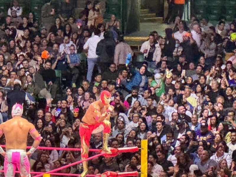 The best experience Lucha Libre & Tacos in Mexico City - Who Should Consider This Tour?