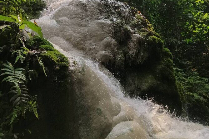 The Best Full Day Tour: Doi Suthep, Wat Phalat, Sticky Waterfall - Final Thoughts