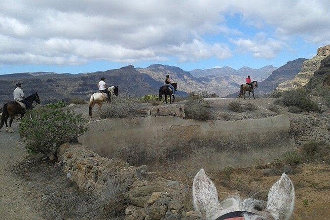 The Best Horse Riding Experience in Gran Canaria (1 hour) - An Honest Look at the Horseback Riding Tour