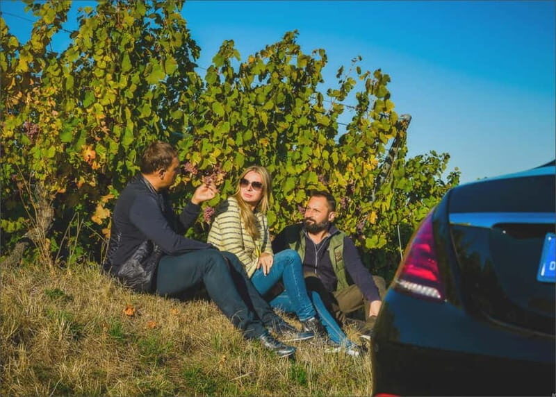 The Best in Baden-Baden and Blackforest - Transportation, Timing, and Flexibility