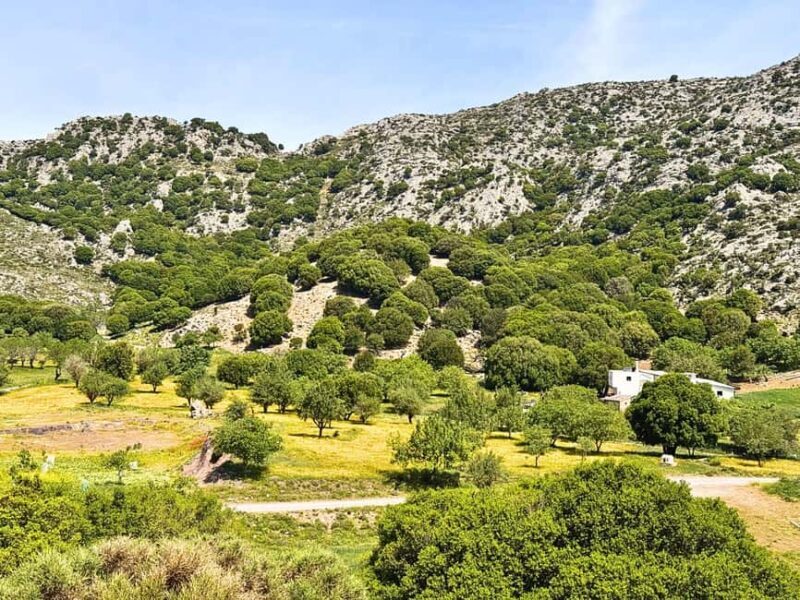 The Best Jeep Safari to Lasithi Plateau - A Deep Dive into the Itinerary and What It Means to You